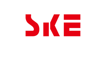 SKE Power UPS Battery Backup Power Supply System for Computer Uninterr ...